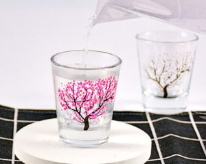 Color Change Glass Cups | Magic Glass Cups